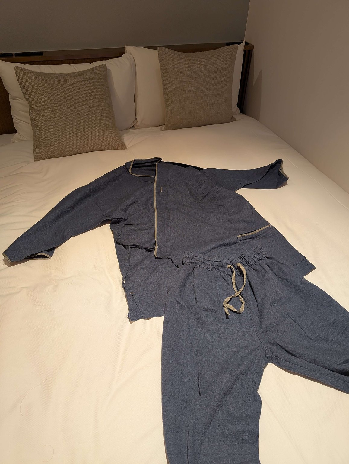 Stylish Hotel | HAMACHO HOTEL TOKYO（UDS HOTELS） Stay Experience & Sharing - HafH