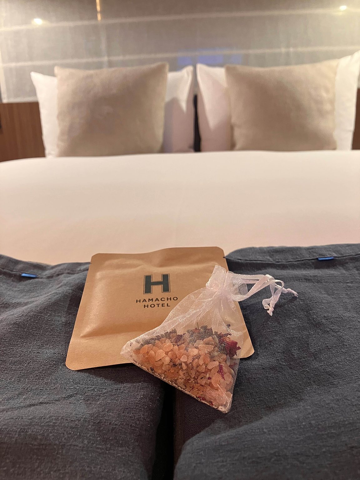 A Hotel You Would Want to Stay Again | HAMACHO HOTEL TOKYO（UDS HOTELS） Stay Experience & Sharing ...